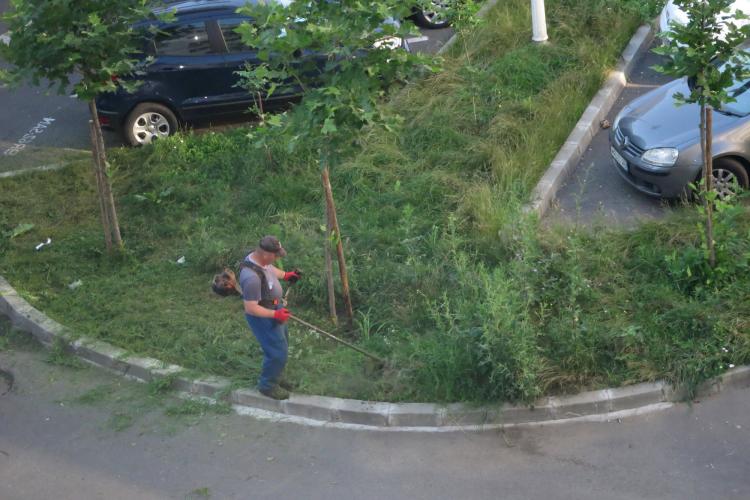 Primăria ia în calcul mai multe posturi la «Seroplant» pentru cositori ...