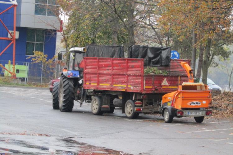 GALERIE FOTO Continuă “ofensiva” Seroplant pe faleză | Obiectiv Vocea ...