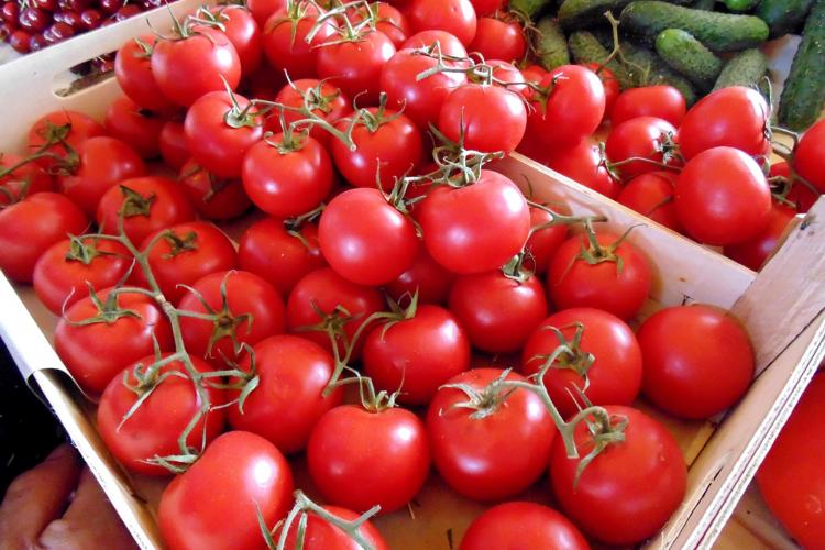 Programul “Tomata”, pe ultima sută de metri | Obiectiv Vocea Brailei