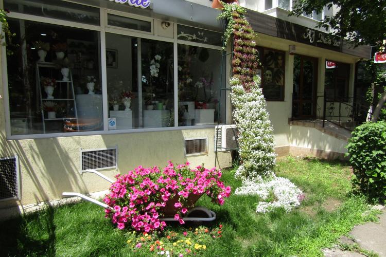 Aranjamentele florale înviorează aspectul Brăilei | Obiectiv Vocea Brailei