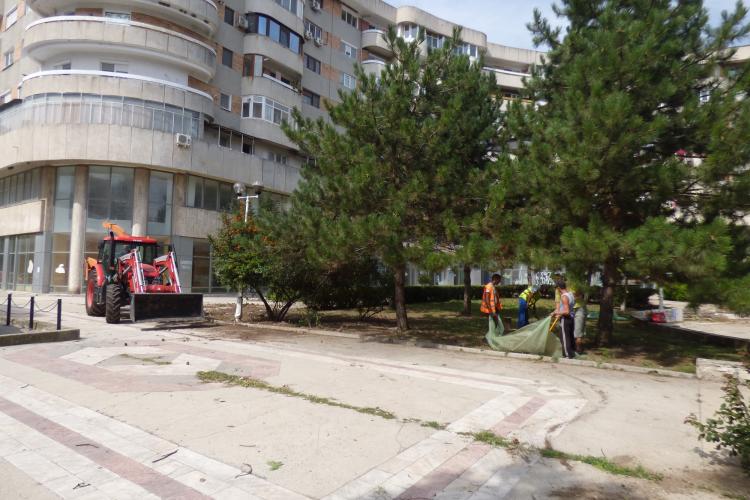 “Desant” al Seroplant la Romarta Nouă | Obiectiv Vocea Brailei