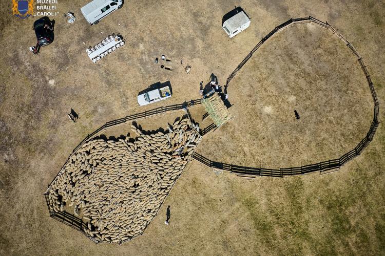 O stână din satul brăilean Muchea, exemplu pentru un proiect UNESCO ...