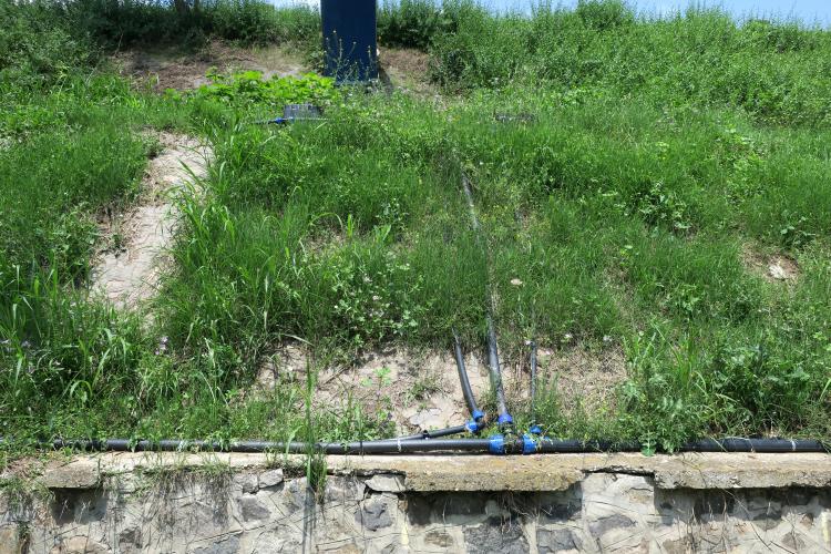 Noul sistem de irigaţii de pe faleză nu poate fi pus în funcţiune ...