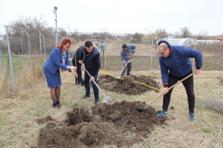 Deputatul George Paladi a plantat sute de puieți de plop, în „Luna ...