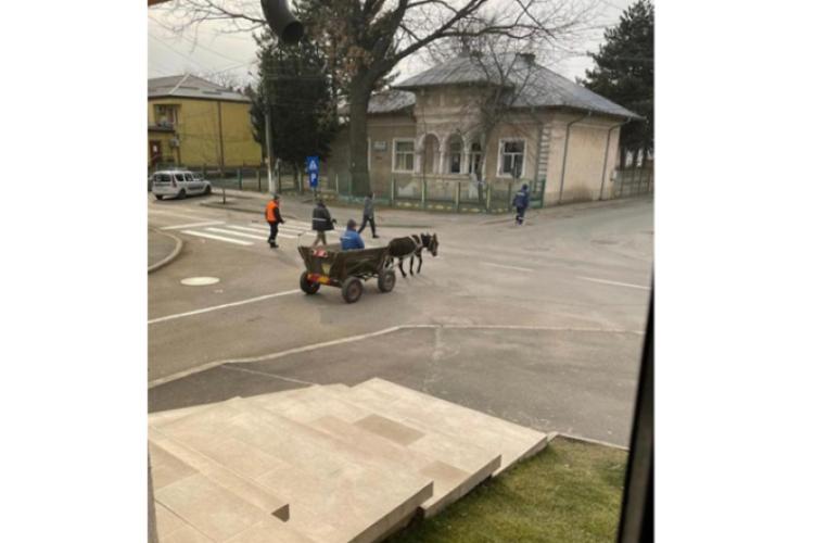 Subprefectul Adin Boboc «își arată colții» la primarul orașului Ianca ...