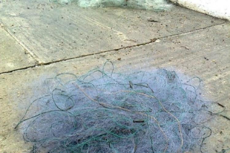 13 plase de pescuit confiscate la Chiscani | Obiectiv Vocea Brailei